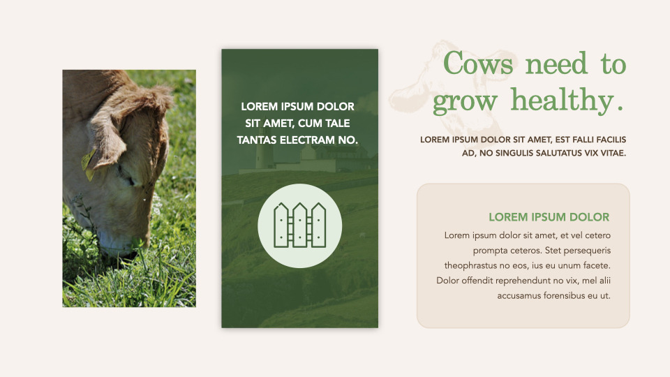 Cow Product Deck|Lifestyle|Keynote