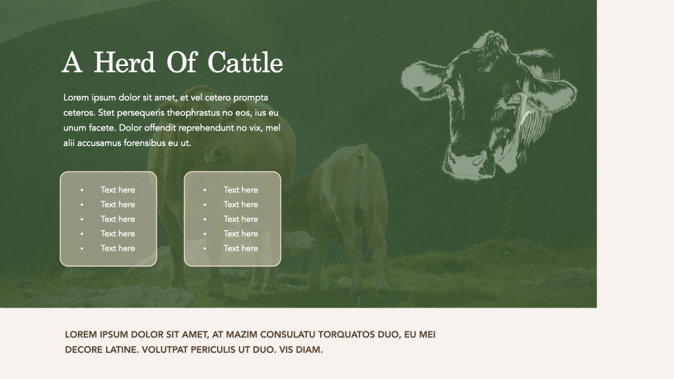 Cow Product Deck|Lifestyle|Keynote