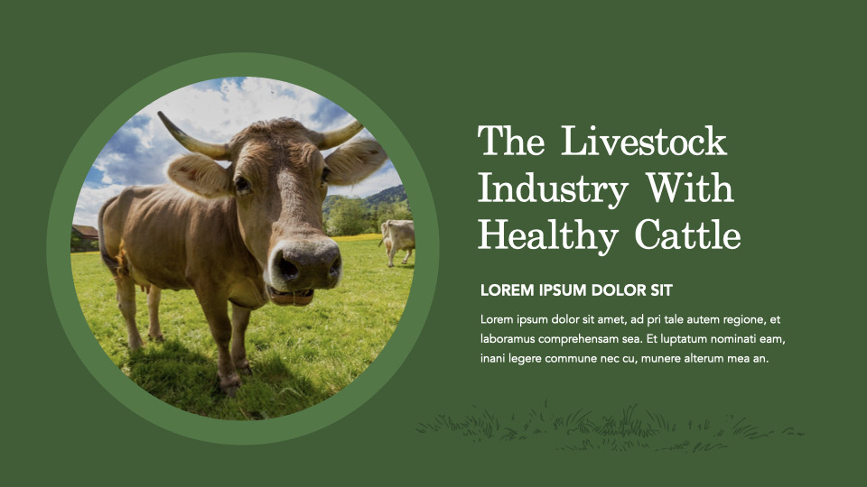 Cow Product Deck|Lifestyle|Keynote