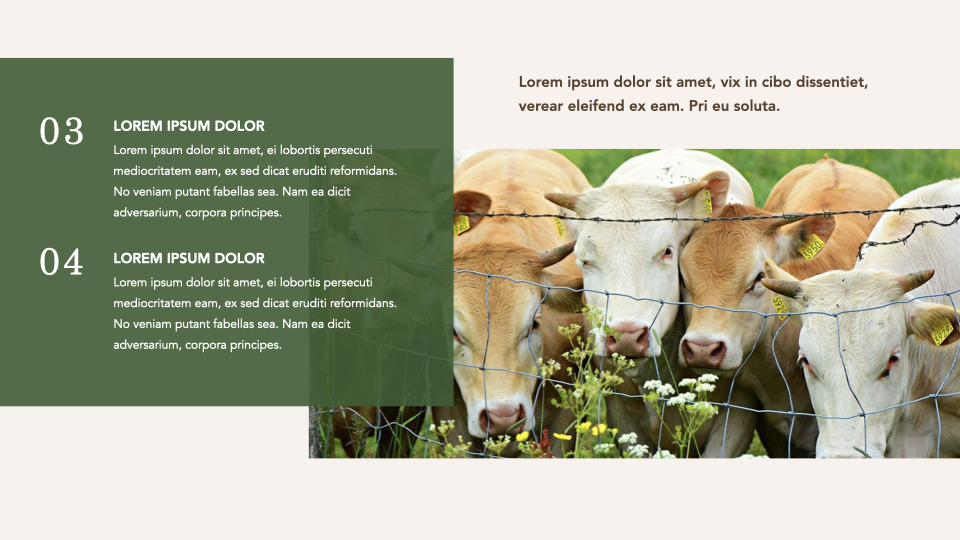 Cow Product Deck|Lifestyle|Keynote