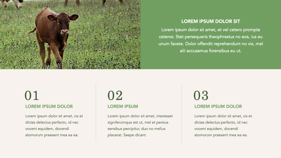 Cow Product Deck|Lifestyle|Keynote