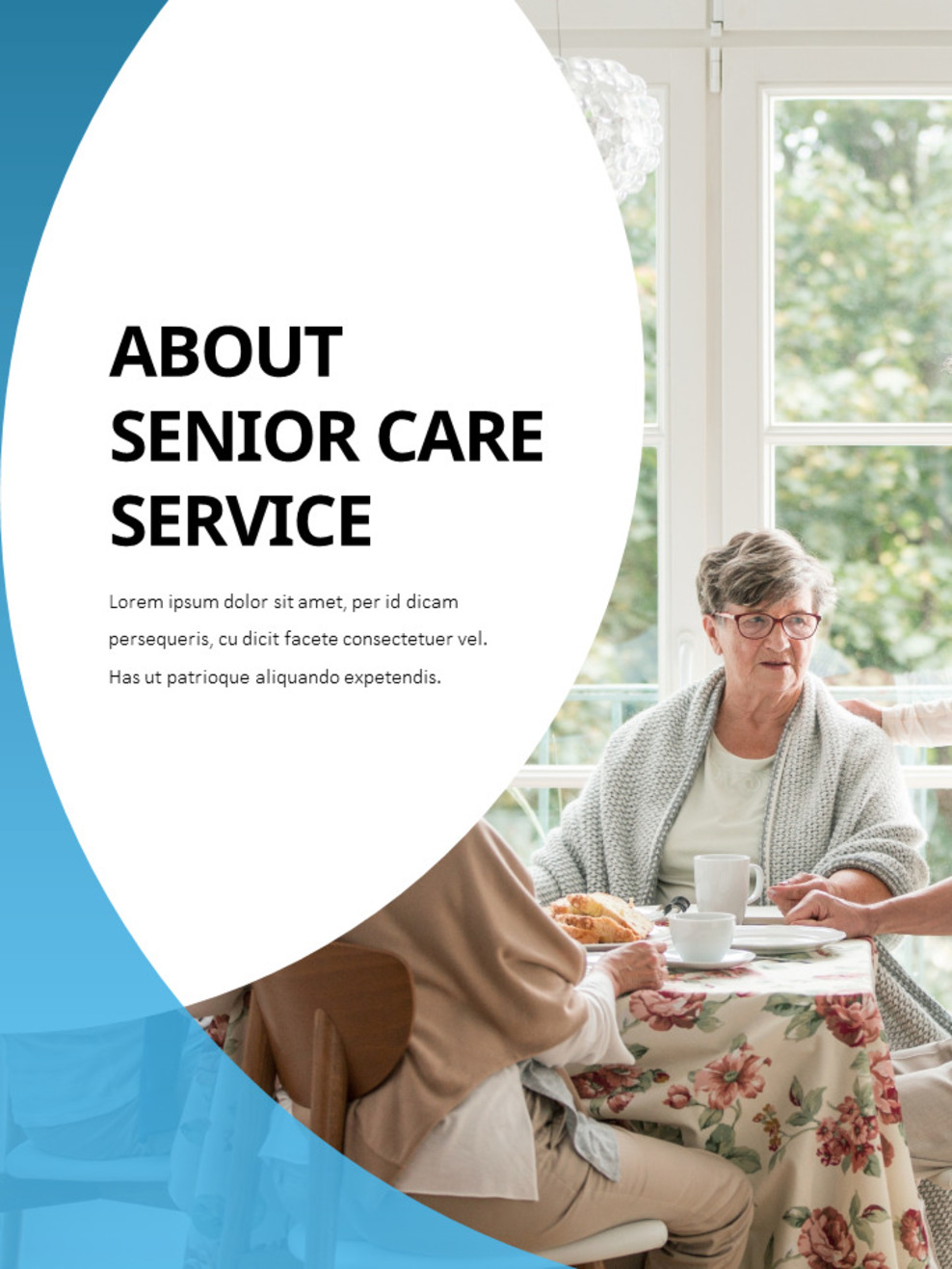 Senior Care Service PPT Model