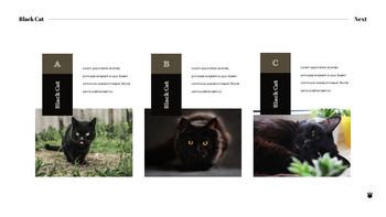 Black Cat Simple PPT Templates|Lifestyle