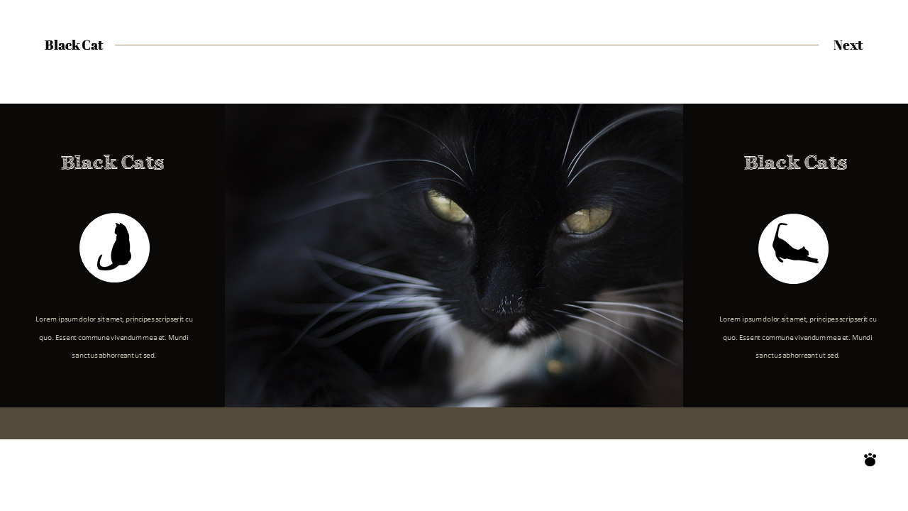 Black Cat Simple PPT Templates|Lifestyle