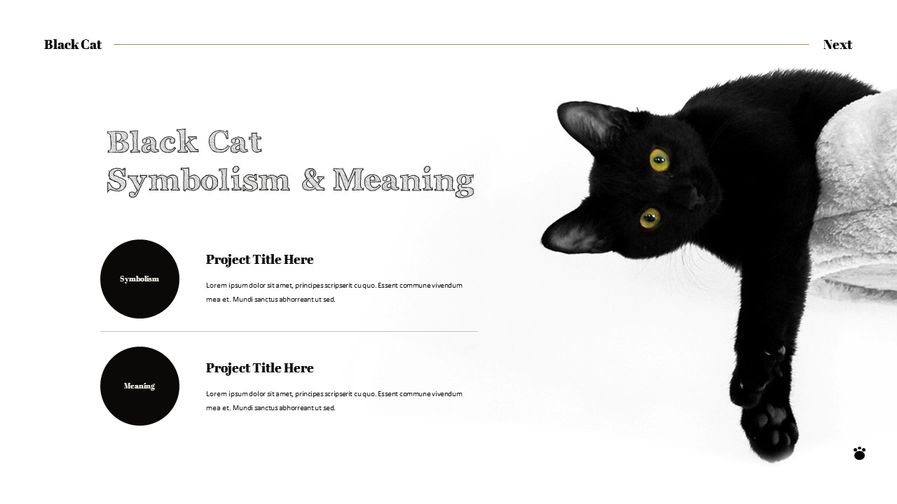 Black Cat Simple PPT Templates|Lifestyle