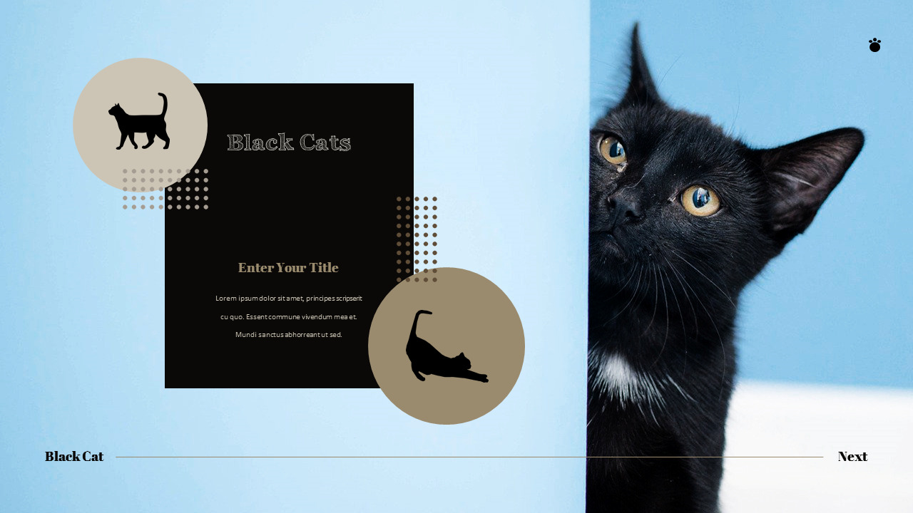 검은 고양이 PPT 템플릿 심플한 디자인|라이프스타일
