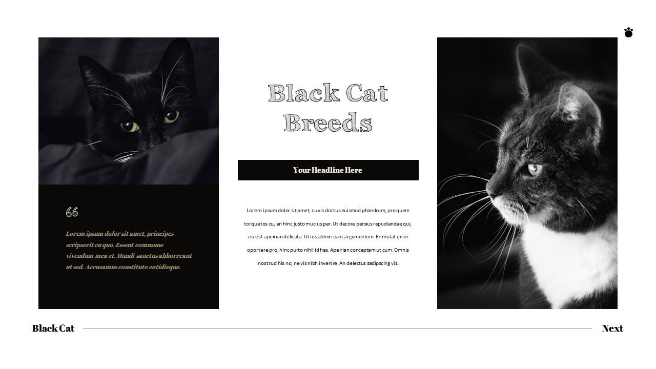 Black Cat Simple PPT Templates|Lifestyle