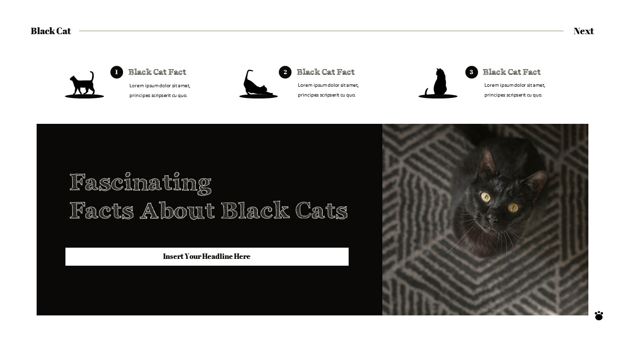 Black Cat Simple PPT Templates|Lifestyle