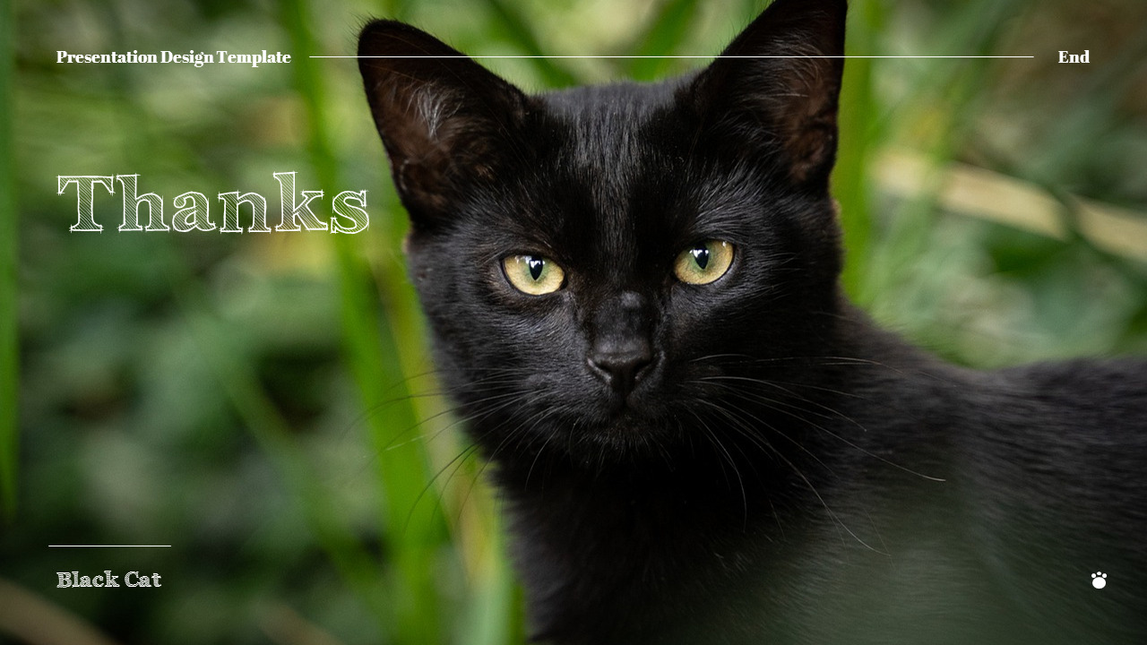Black Cat Simple PPT Templates|Lifestyle