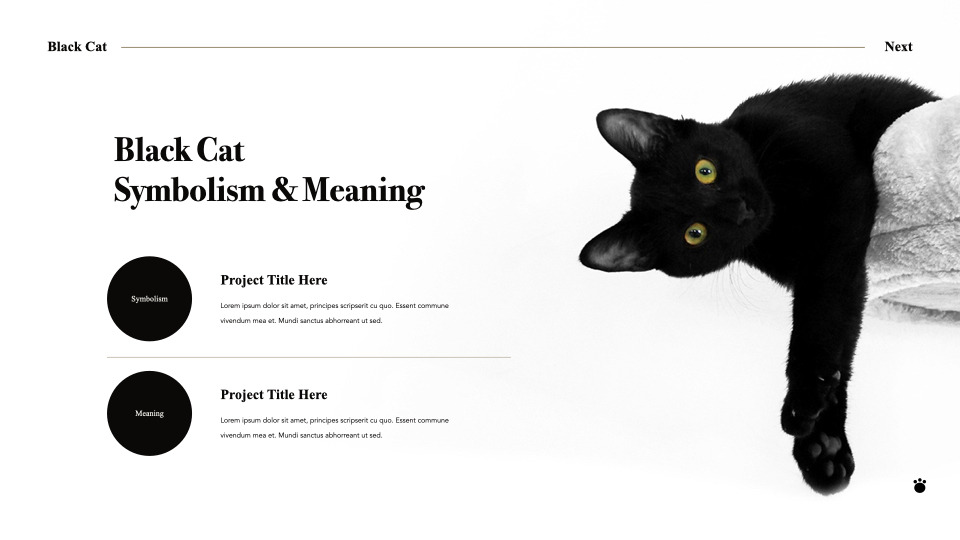 Black Cat Multipurpose Presentation Keynote Template|Lifestyle