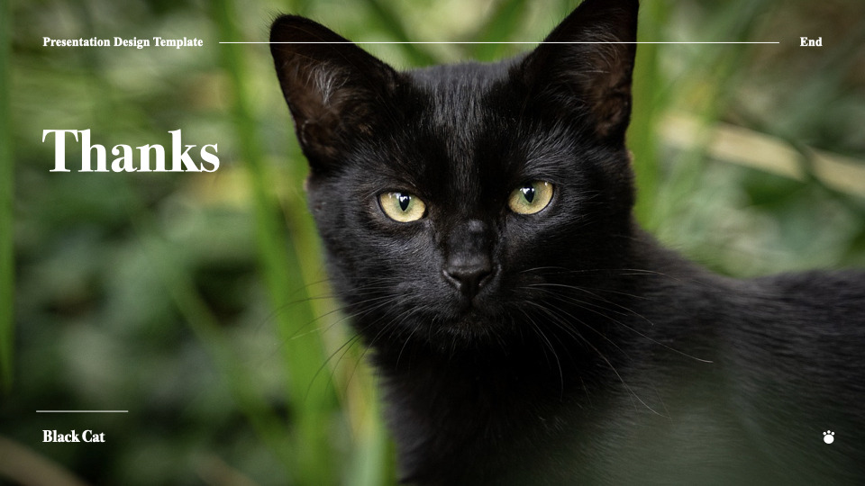 Black Cat Multipurpose Presentation Keynote Template|Lifestyle