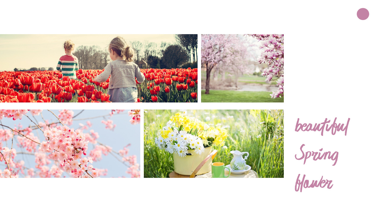 Spring Picnic powerpoint template|Lifestyle