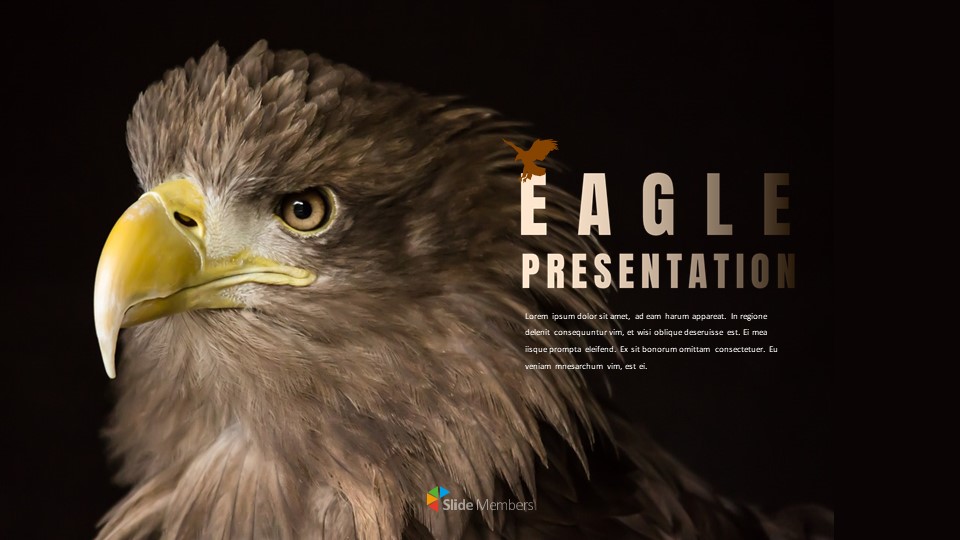 Eagle Google Slides Presentation