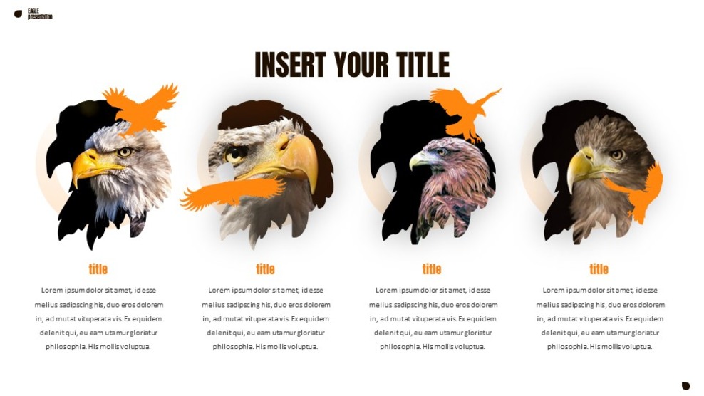 Eagle Google Slides Presentation