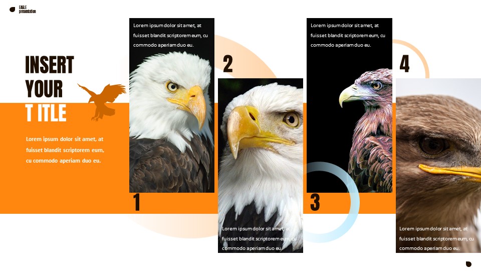 Eagle Google Slides Presentation