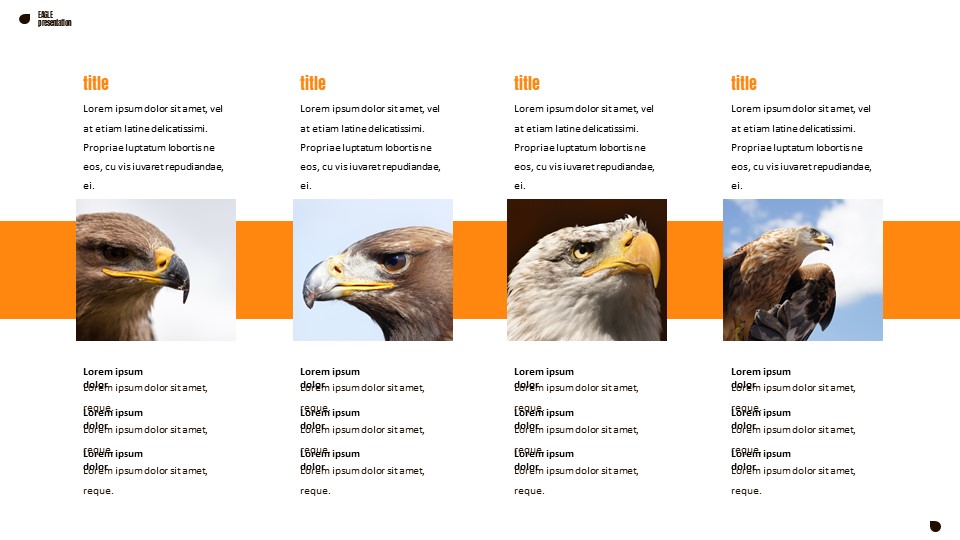 Eagle Google Slides Presentation