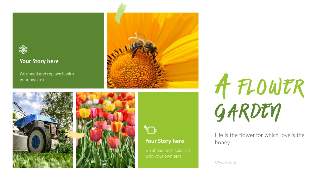 Loving Flower - PPT Presentation