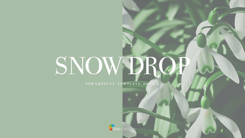 Snow Drop Theme Templates|Lifestyle|PPT