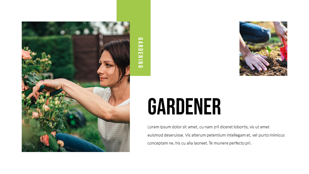Gardening PPT Model|Lifestyle|Templates