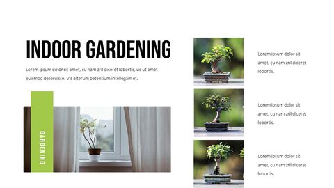 Gardening PPT Model|Lifestyle|Templates