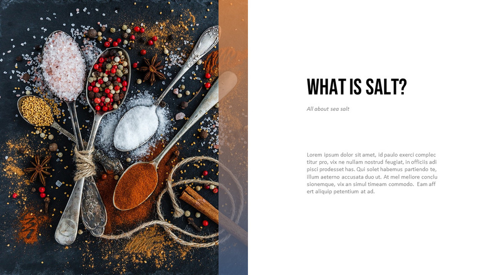 Sea Salt PPT PowerPoint|Business|Templates