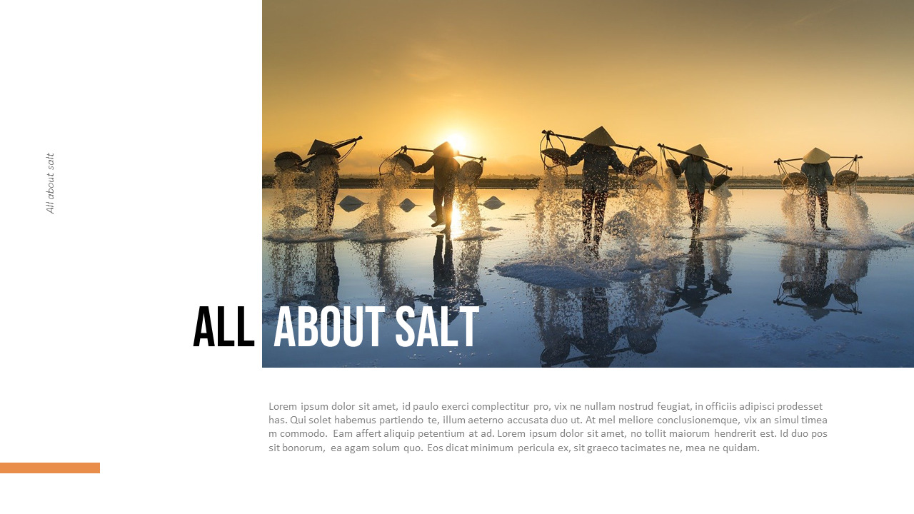 Sea Salt PPT PowerPoint|Business|Templates