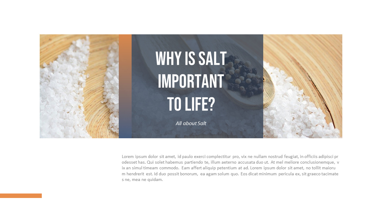 Sea Salt PPT PowerPoint|Business|Templates