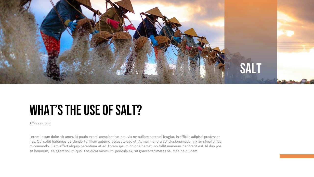 Sea Salt PPT PowerPoint|Business|Templates