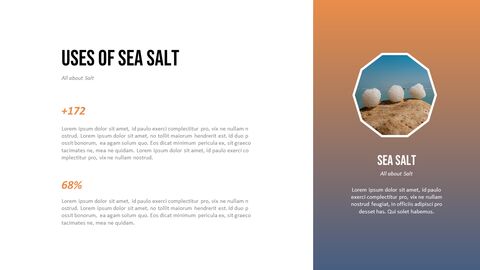 Sea Salt PPT PowerPoint|Business|Templates
