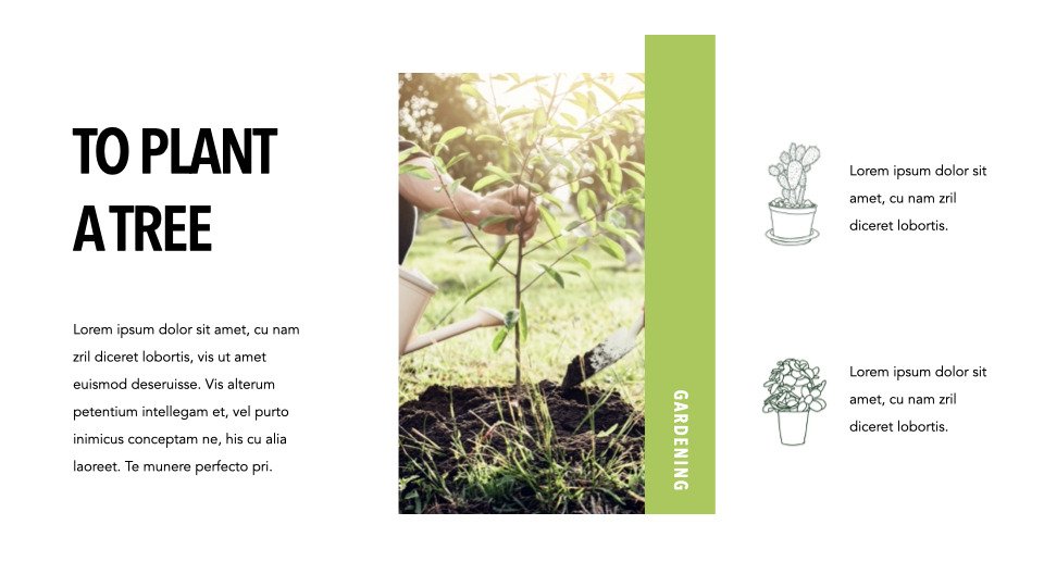 Gardening presentation slide|Lifestyle|Keynote
