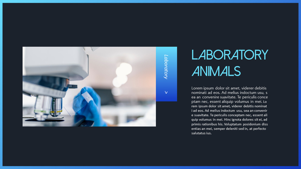 Stop Animal Testing Theme PPT Templates
