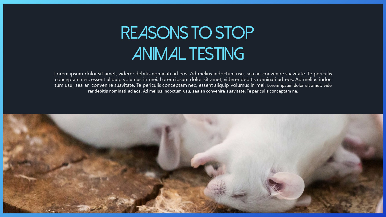 Animal Testing Pros And Cons Cosmetics Tennille Demarco Animal Testing Pros And Cons Cosmetics Tennille Demarco