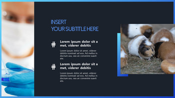 Stop Animal Testing Theme PPT Templates