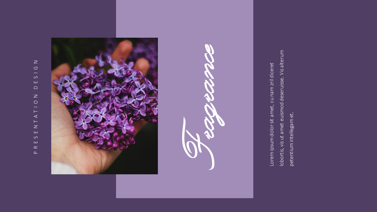 Lavender Presentation PowerPoint Templates Design|Lifestyle