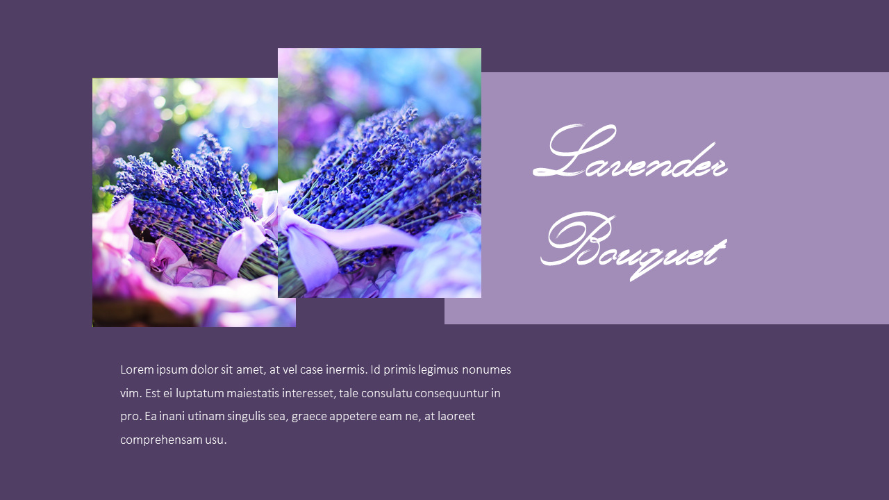 Lavender Presentation PowerPoint Templates Design|Lifestyle