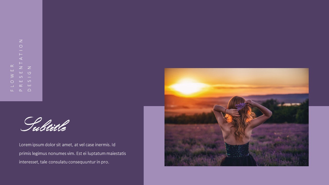 Lavender Presentation PowerPoint Templates Design|Lifestyle
