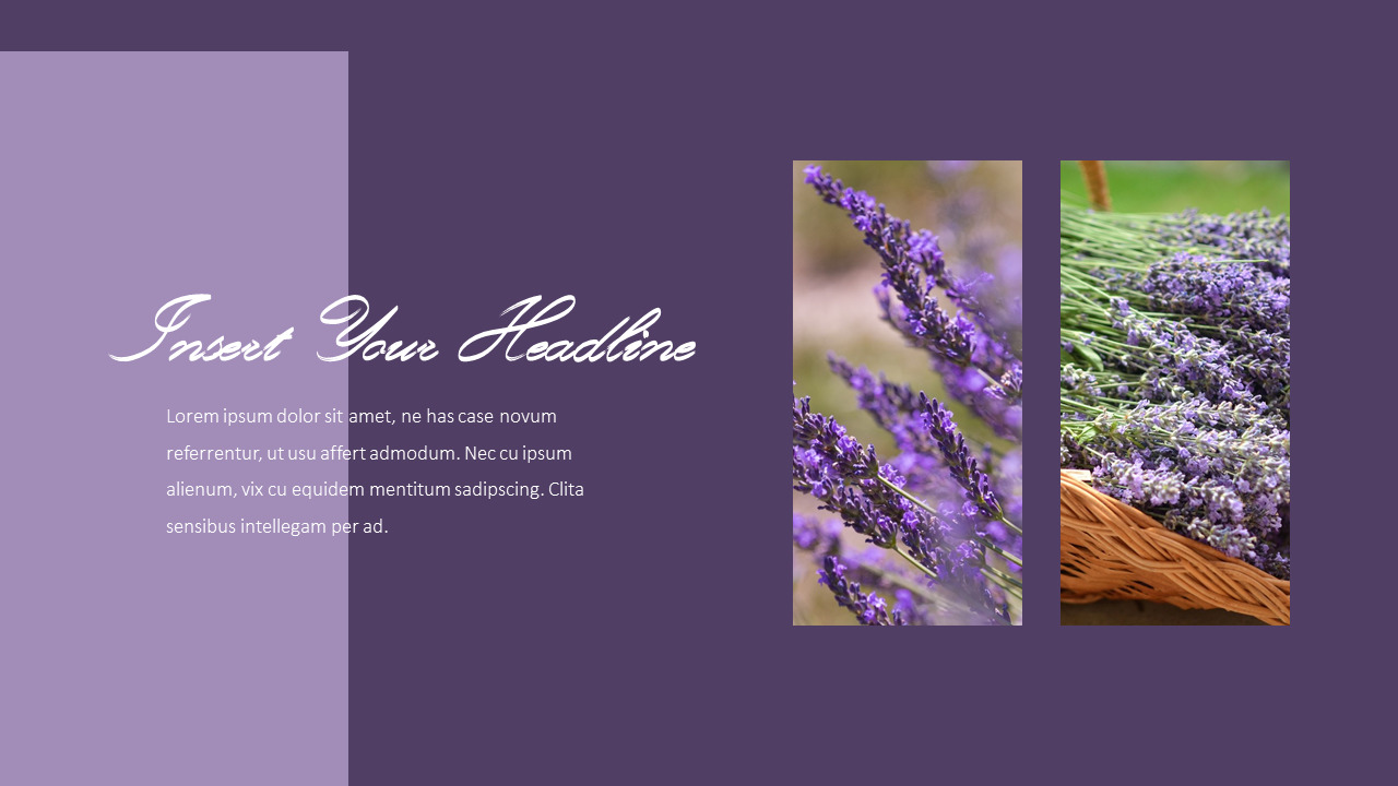 Lavender Presentation PowerPoint Templates Design|Lifestyle