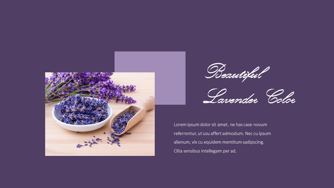 Lavender Presentation PowerPoint Templates Design|Lifestyle
