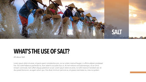 Sea Salt keynote presentation templates free|Business