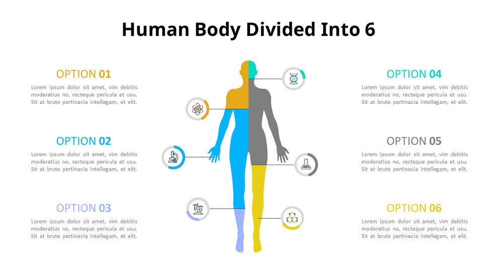 Body Infographic Diagram|Infographics