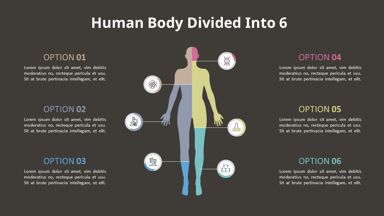 Body Infographic Diagram|Infographics