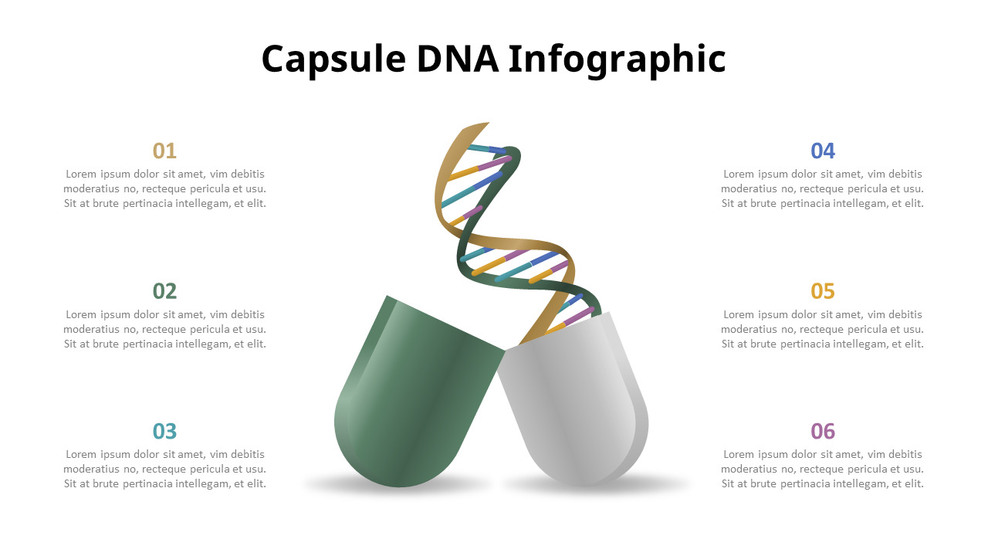 Capsule Infographic Diagram|Infographics