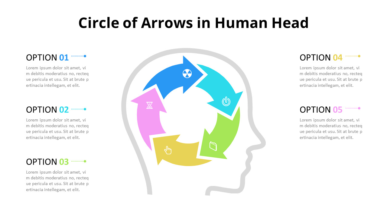 Diagrama De Cabeza Humana Dibujo Humano De La Anatomía Cabeza Del