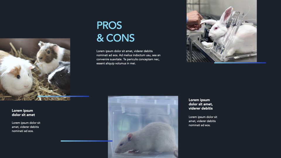 Stop Animal Testing Multipurpose Presentation Keynote Template