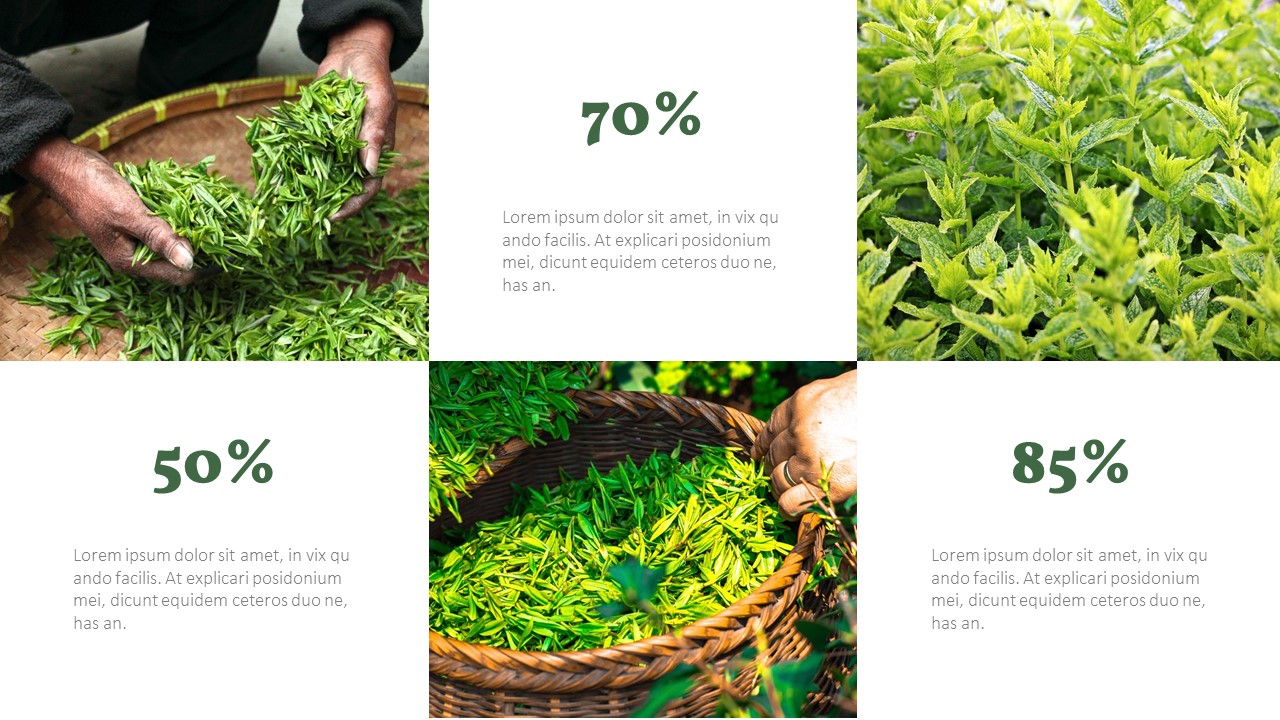 Tea ceremony - Easy PPT Template