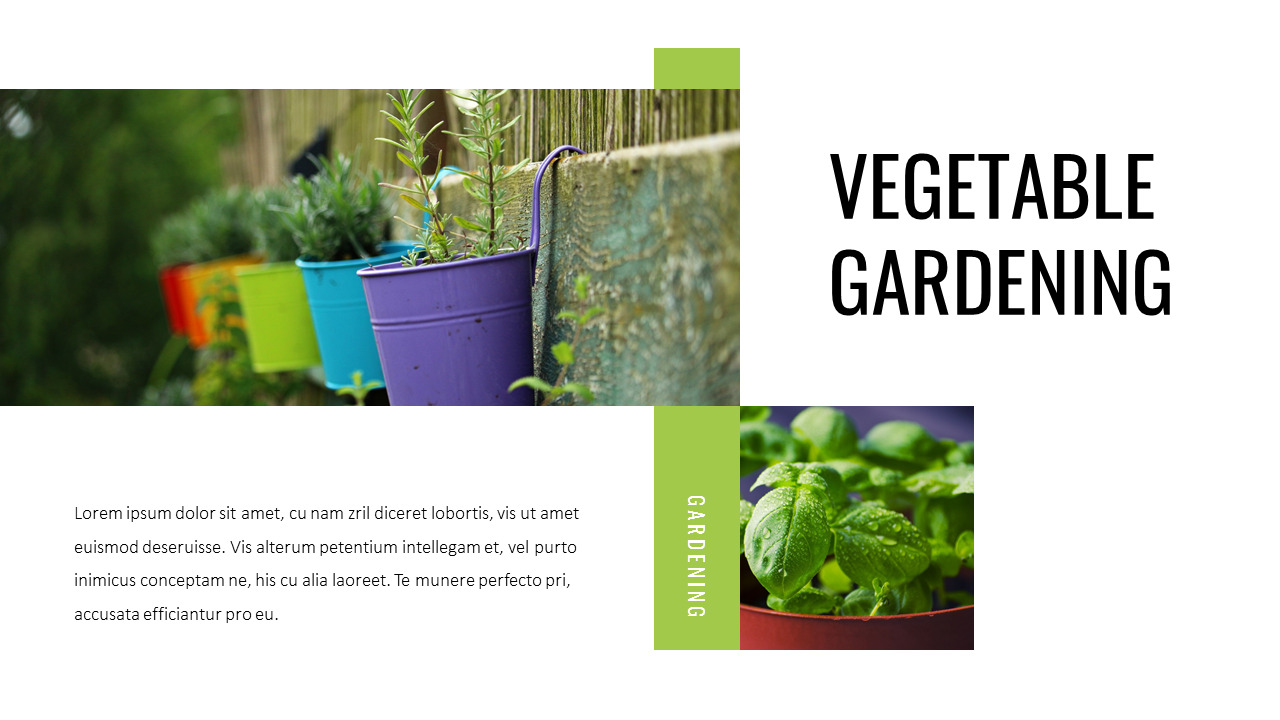 Gardening google slides template|Lifestyle