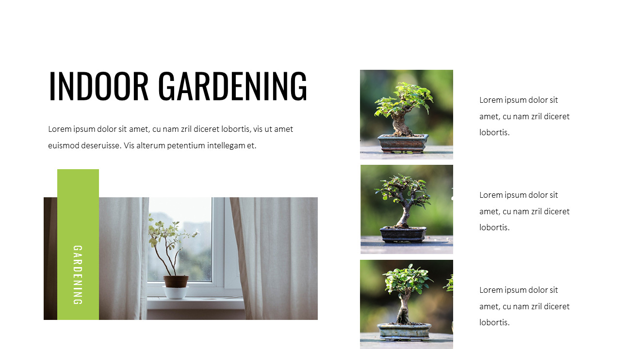 Gardening google slides template|Lifestyle