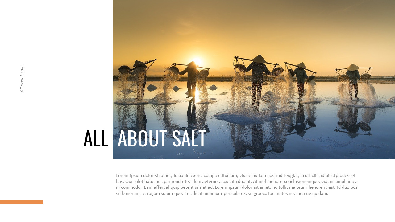 Sea Salt Google PPT Templates|Business|Slides
