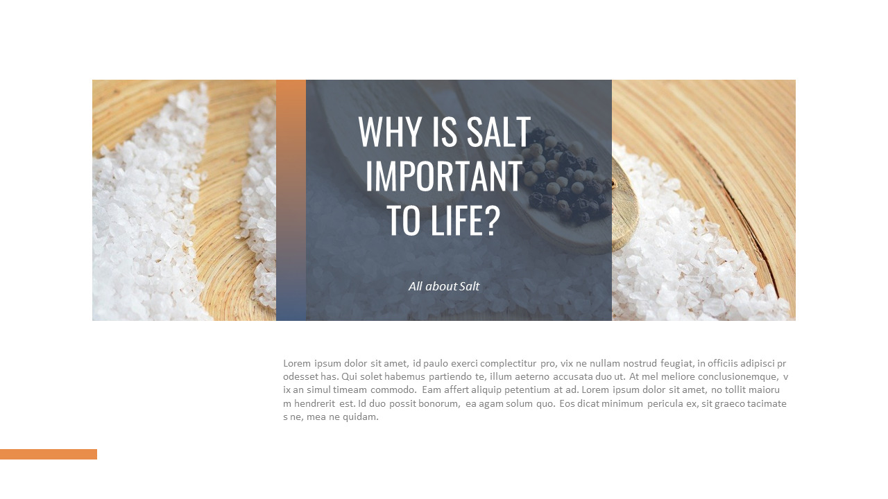 Sea Salt Google PPT Templates|Business|Slides