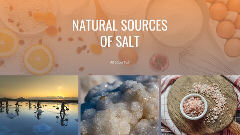 Sea Salt Google PPT Templates|Business|Slides
